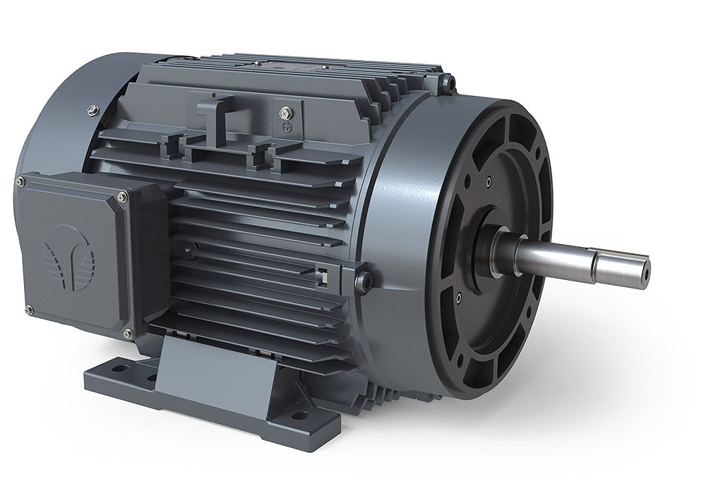 JMA0104DP PUMP MOTORS 10 HP, 1800 RPM, 3 Phase, 230/460V, 215JM Rigid ...